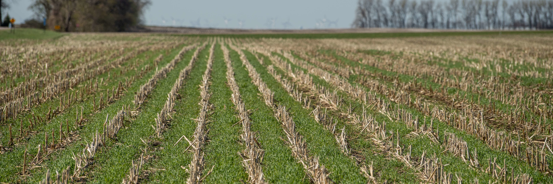 Germinate - The generic plant genetic resources database